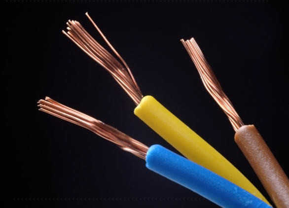 3 Core Cable, what is it used for vs 2 Core Cable?